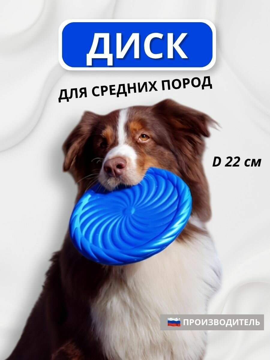 Игрушка для собак средних пород сибирский ПЁС диск синий 220мм