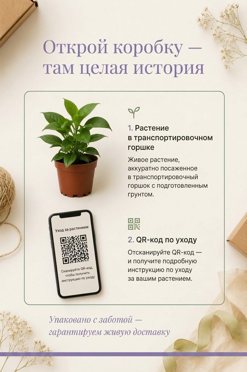 Кодонанта — фото 1