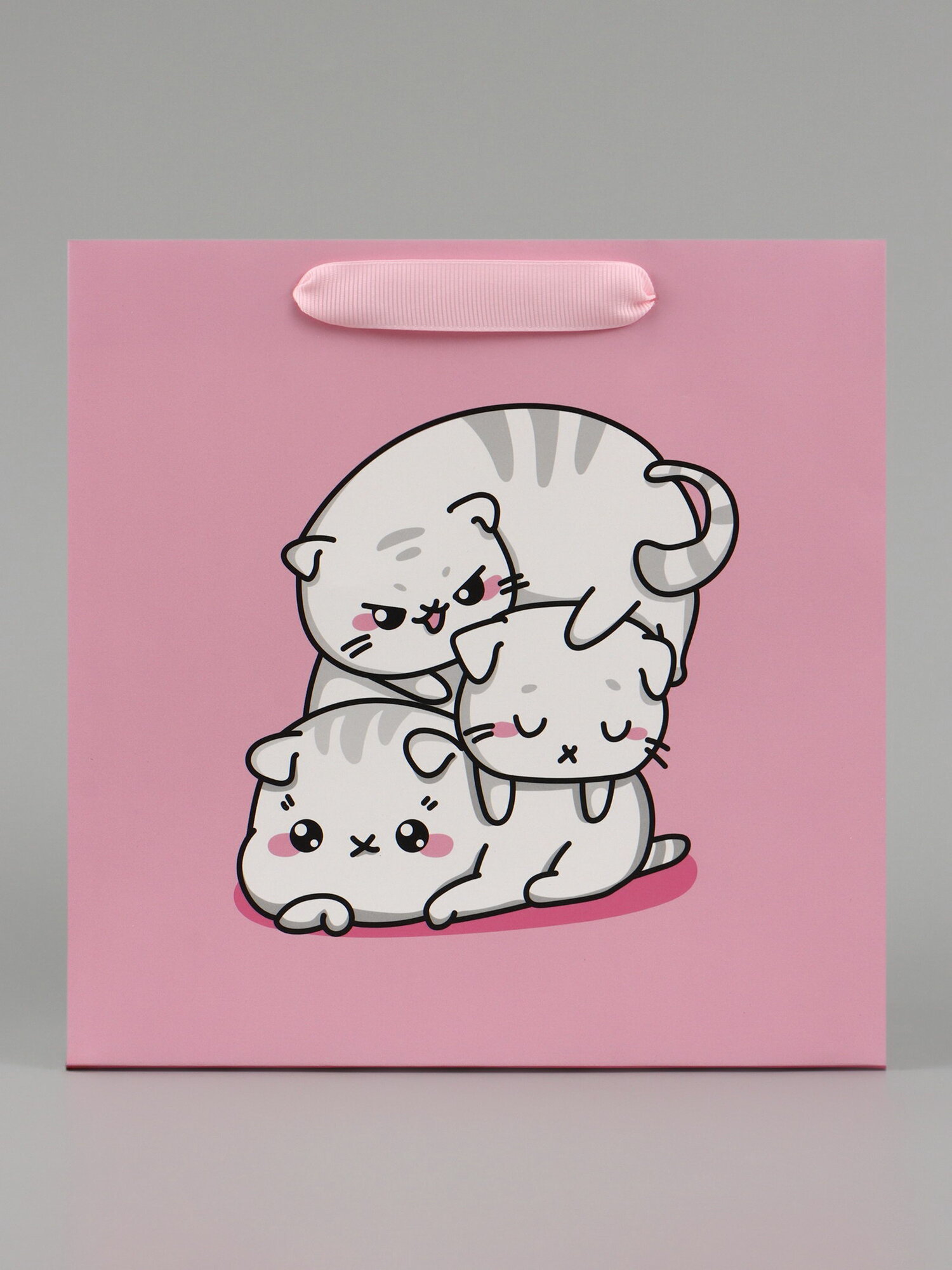 Пакет подарочный ламинированный квадратный, упаковка, "Котики", 22x22x11 см