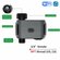 Smart Irrigation Timer WiFi, Цвет: US Version(NH)