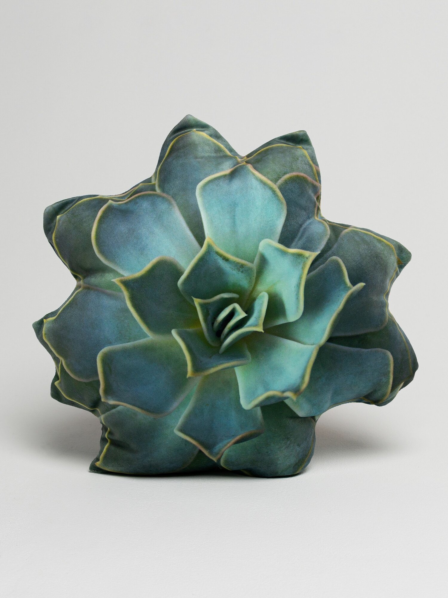 Подушка Суккулент Echeveria agavoides Эхеверия агавовидная
