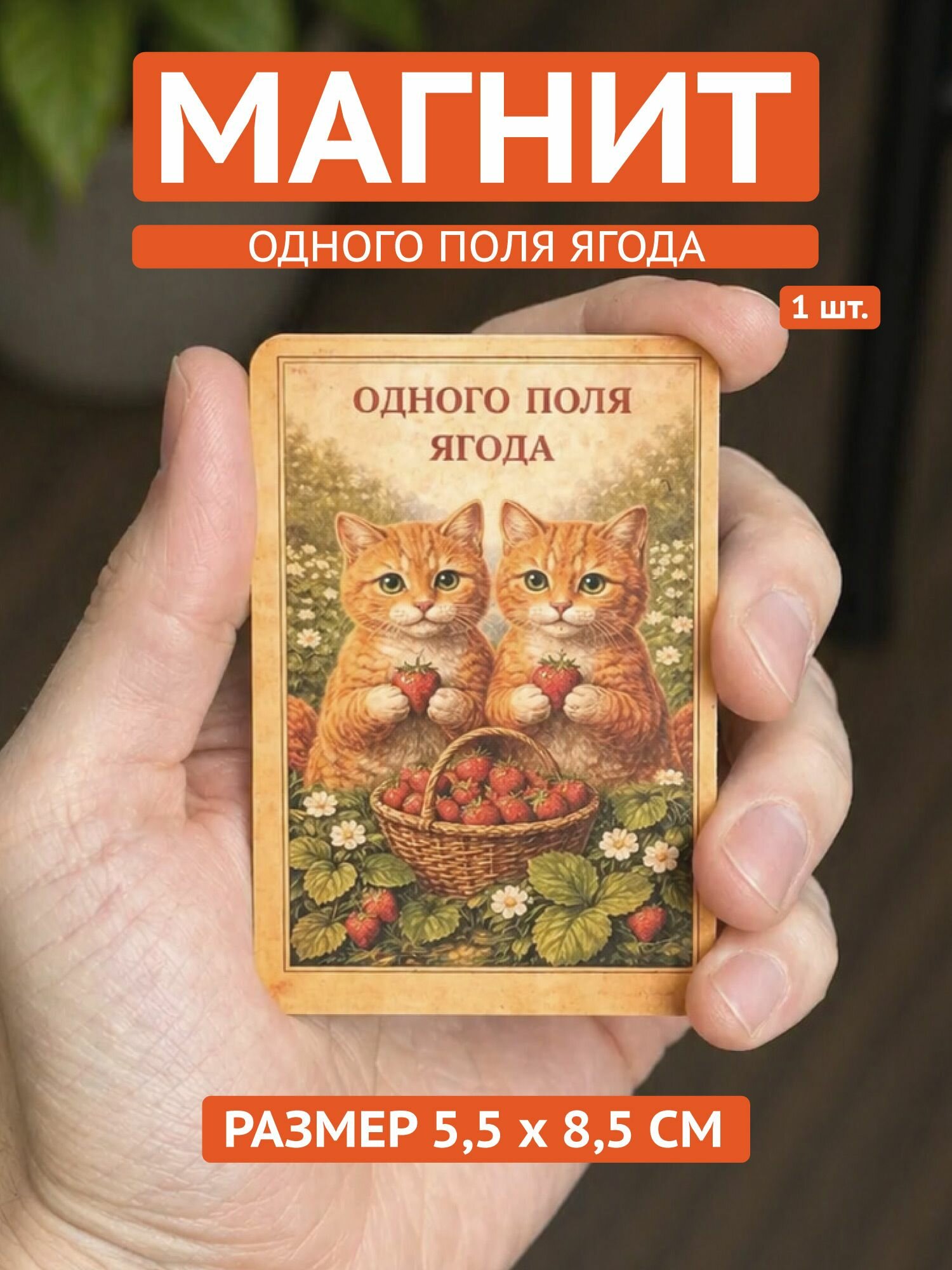 Магнит Одного поля ягоды. 5,5 на 8,5 см. 1 шт. Магнитик на холодильник с котиком.