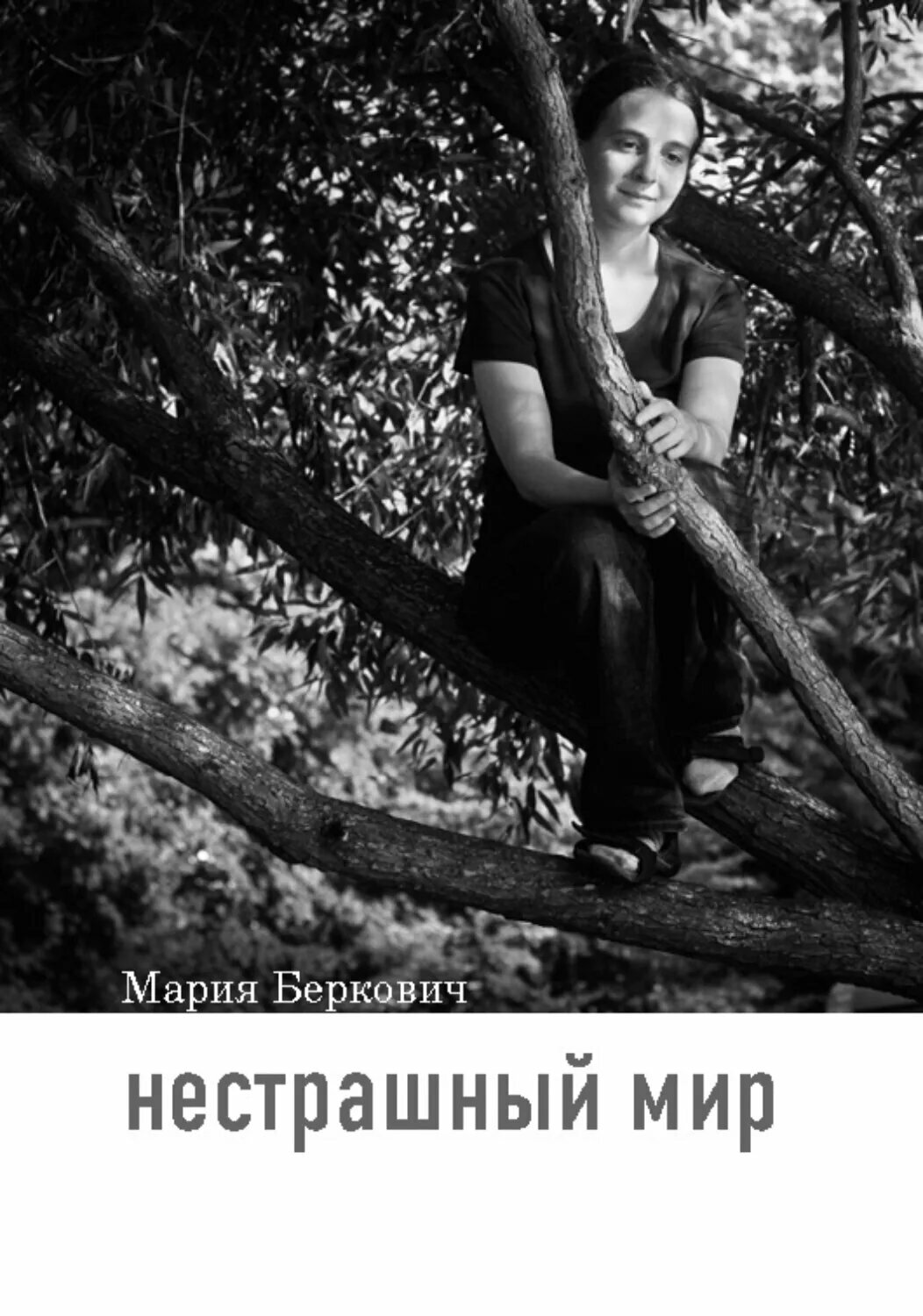 Нестрашный мир [Цифровая книга]