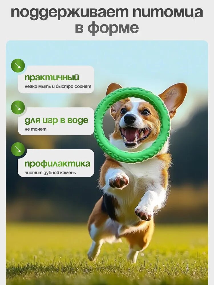 Кольцо-пуллер для собак, 19 см, игрушка для собак — фото 1