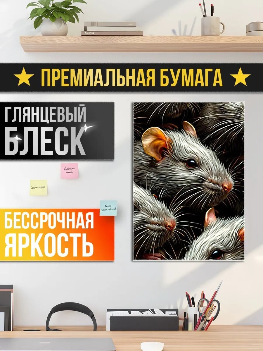 Постер на стену Крысы — фото 1