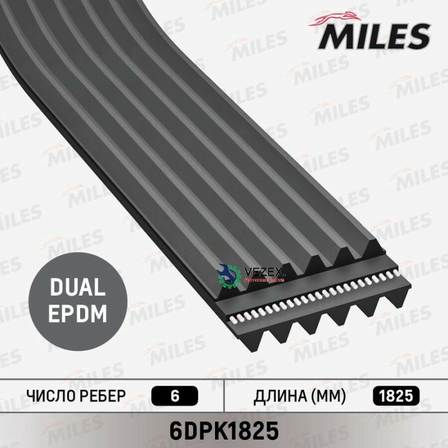 MILES 6DPK1825 Ремень поликлиновой