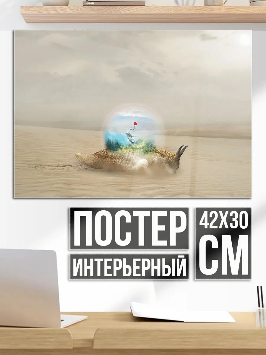 Плакат постер Пустынный мир улитки
