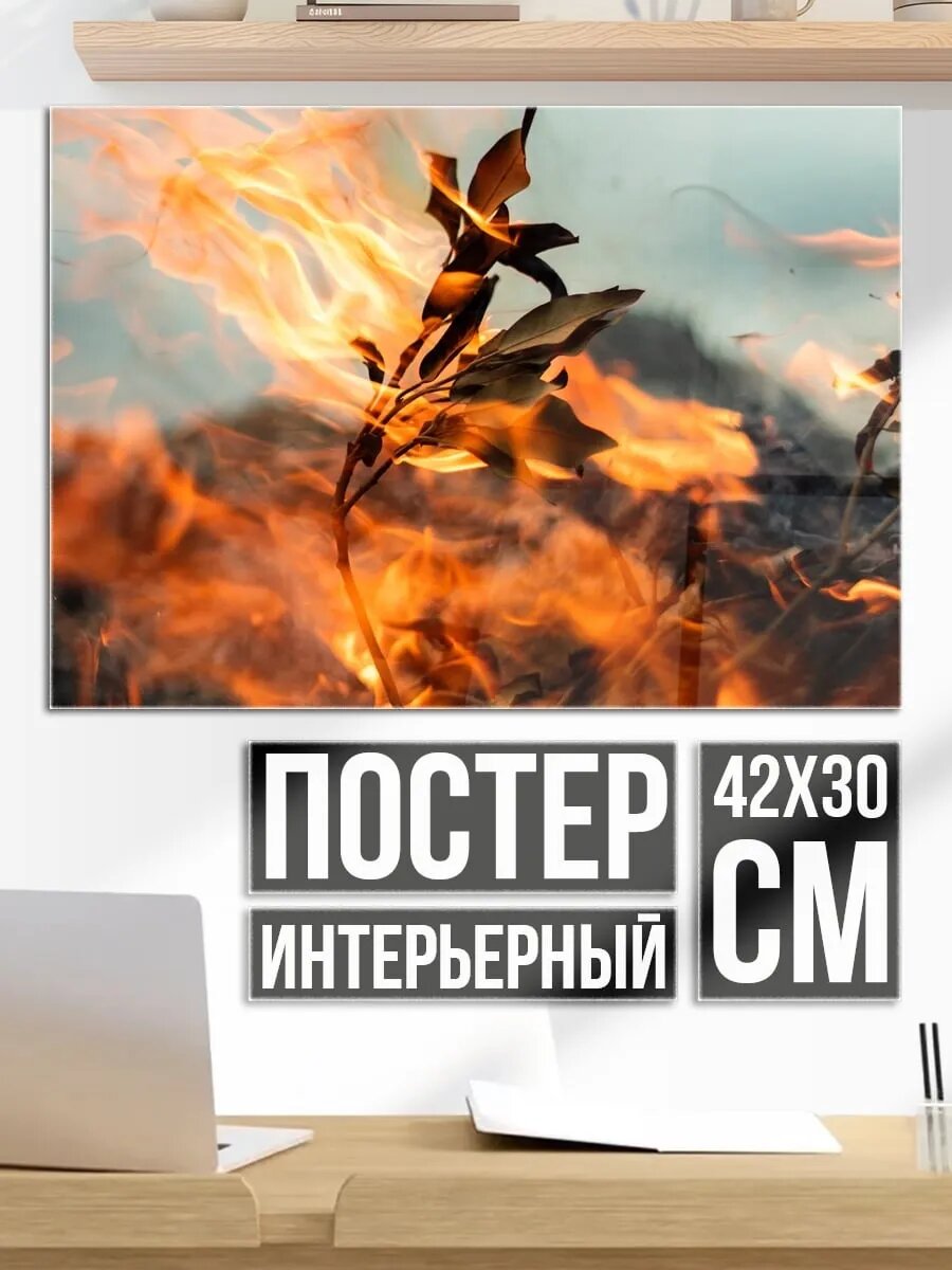 Плакат постер огонь пожирает