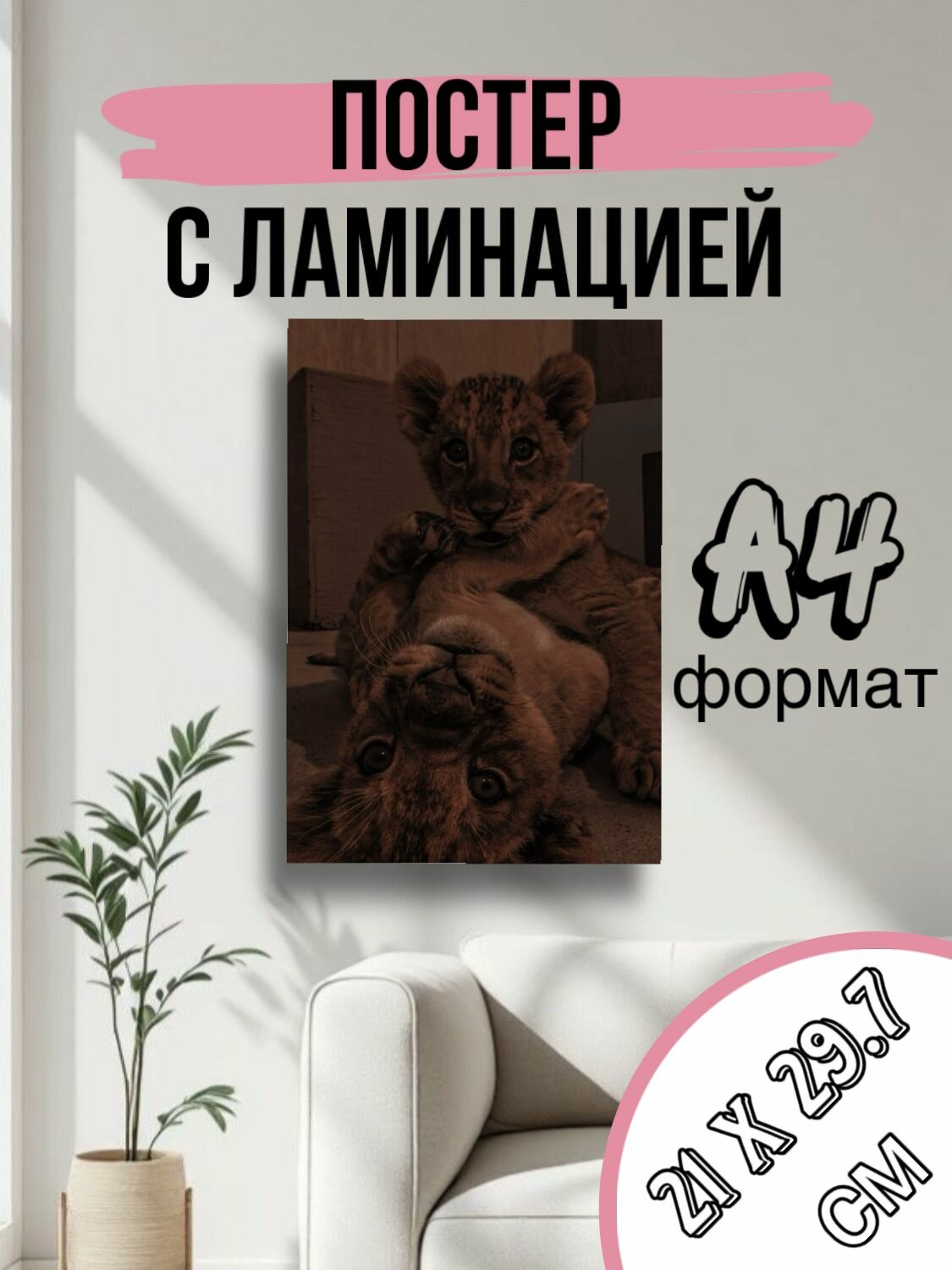 Постер