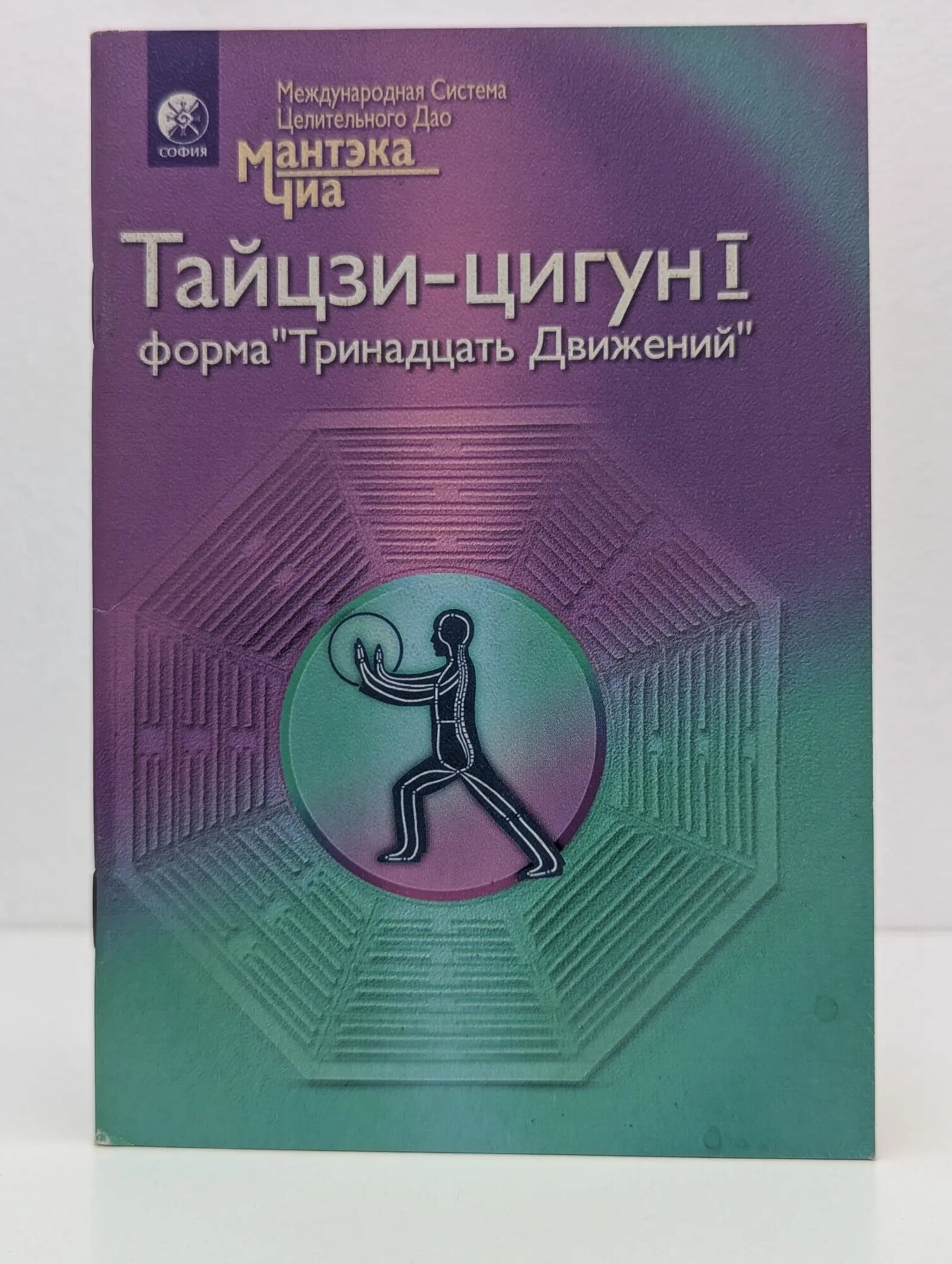 Тайцзи-цигун 1. Форма Тринадцать Движений Чиа Мантэк 2000