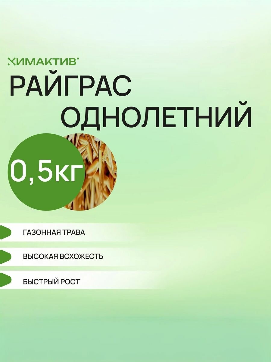 Райграс однолетний семена 0,5кг/ газонная трава