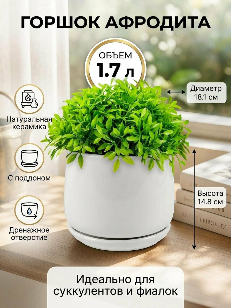 Керамический горшок для цветов Афродита 2 л, белый, 18.1х14.8 см. Круглое кашпо с поддоном для кактусов и суккулентов
