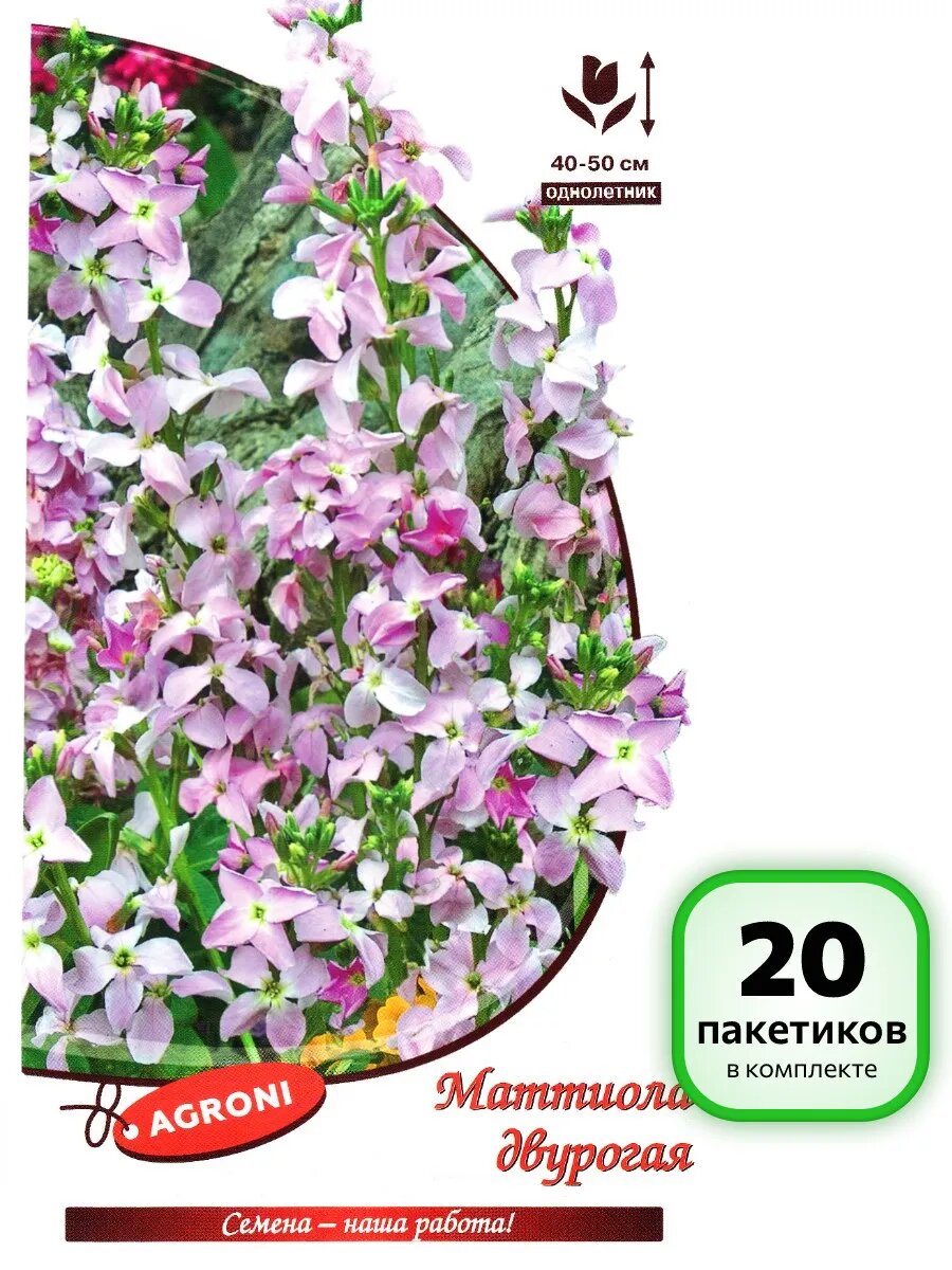 (20 шт.) - Семена Маттиола двурогая (0,3г)