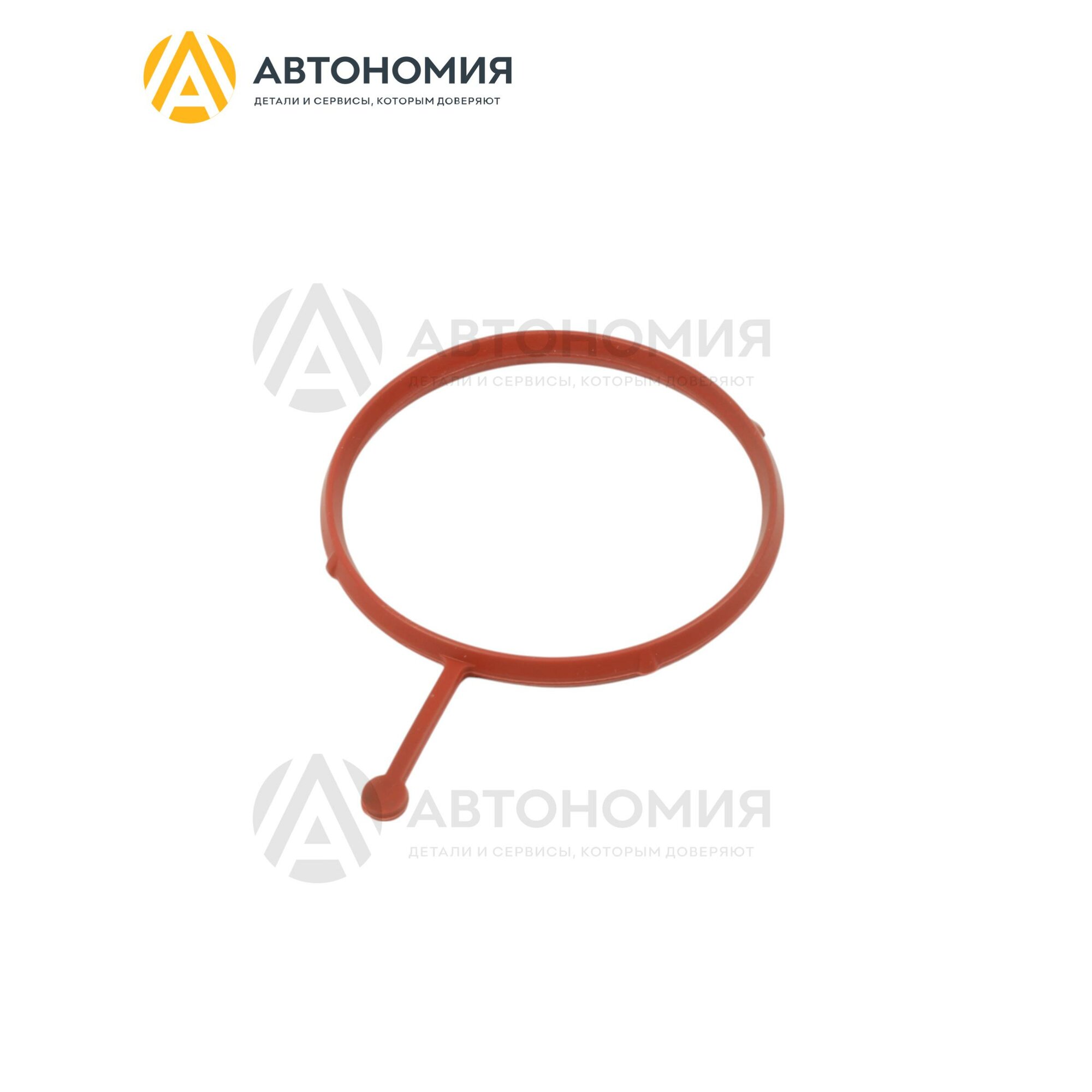 Прокладка дроссельной заслонки General Motors 96325237