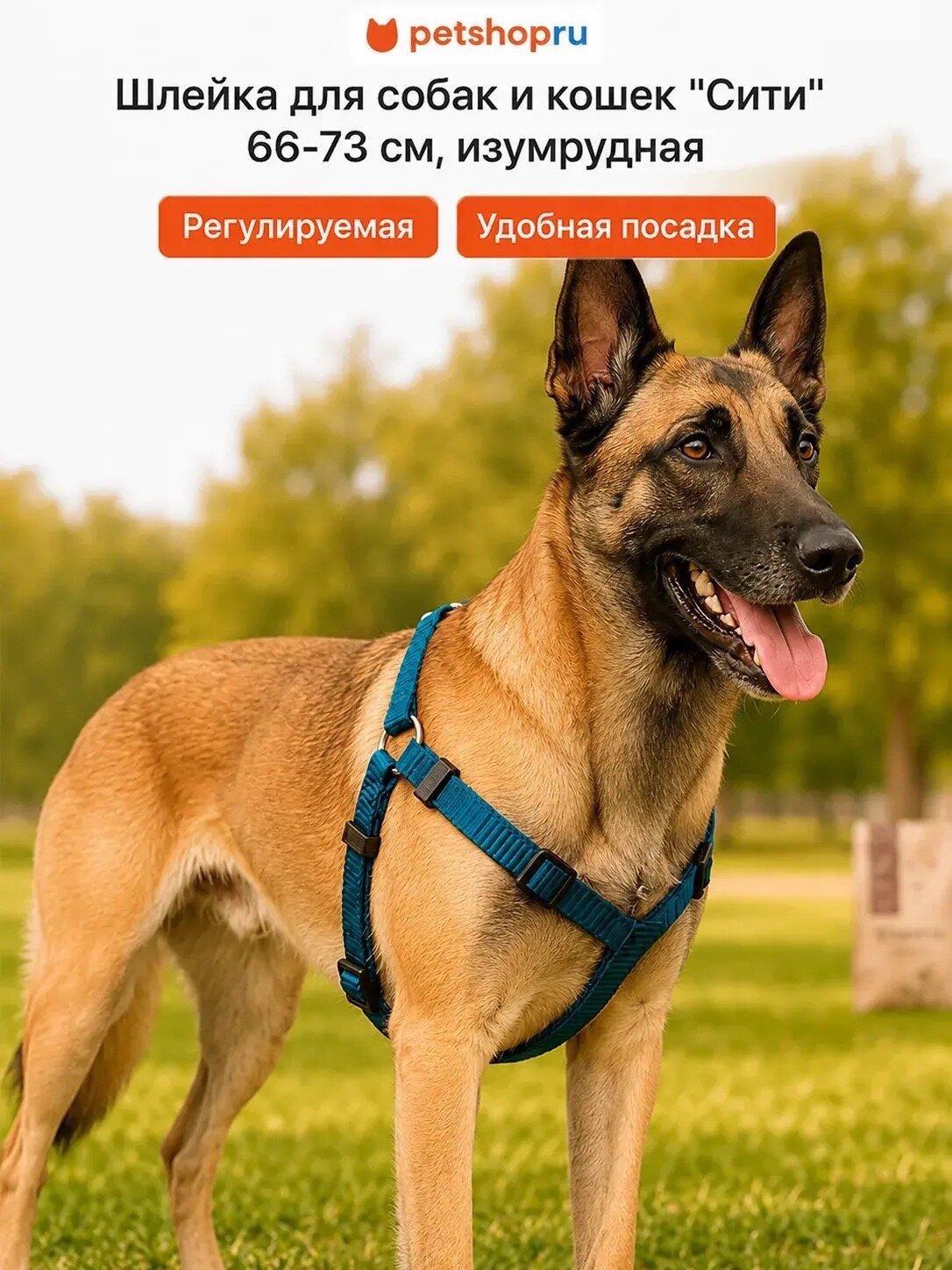 Yami-Yami шлейка Сити L изумрудная 25мм, ОШ 65-70см, ОГ 66-73см