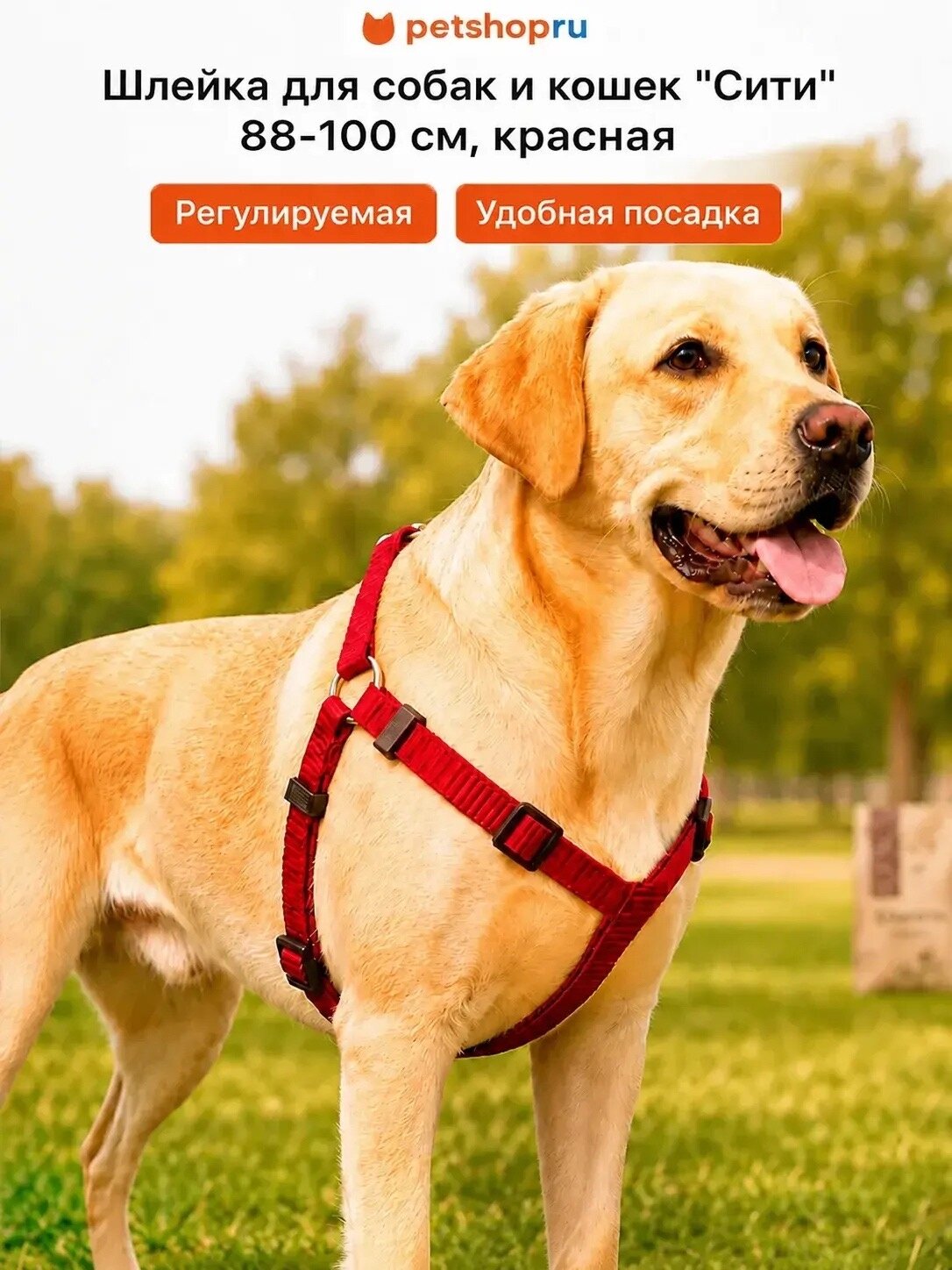 Yami Yami амуниция Шлейка Сити XL красная 25мм, ОШ 84-90см, ОГ 88-100см