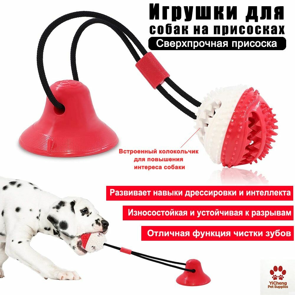 Игрушка для собак на присоске, 1 шт, зубной мяч с колокольчиком, для дрессировки и жевания