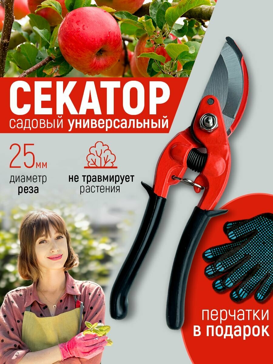 Секатор садовый ручной, профессиональный для цветов и деревьев EaZZY BEST