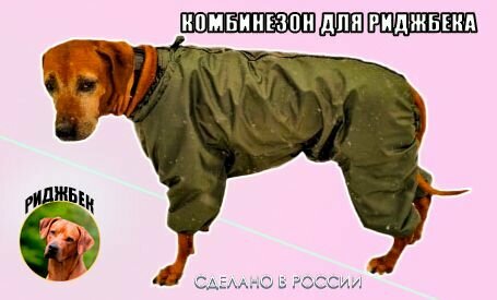 Демисезонный комбинезон для родезийского риджбека кобеля, на тонком синтепоне, повышенной прочности, цвет хаки