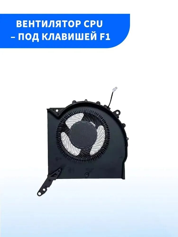 2024 год
