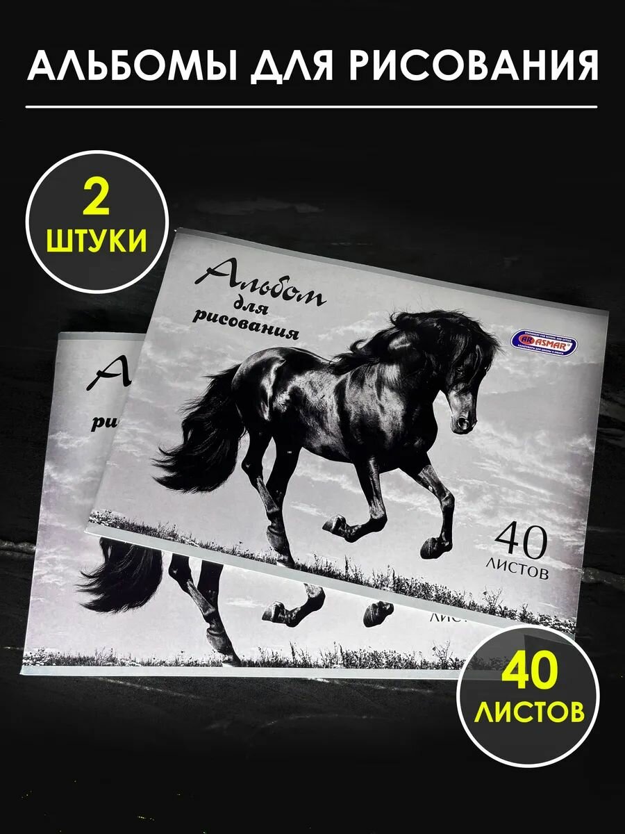Альбом для рисования 40 листов 2 штуки
