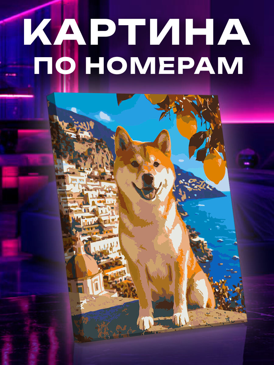 Картина по номерам сиба-ину на фоне цветных домов Амальфи
