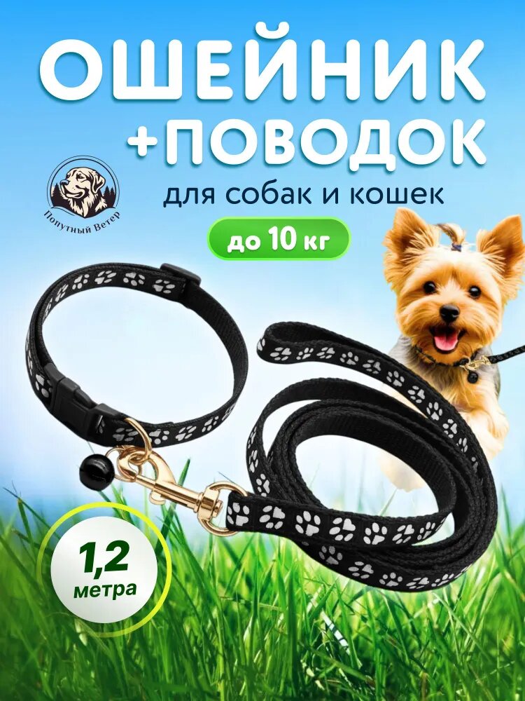Ошейник и поводок для собак, для мелких пород, черный