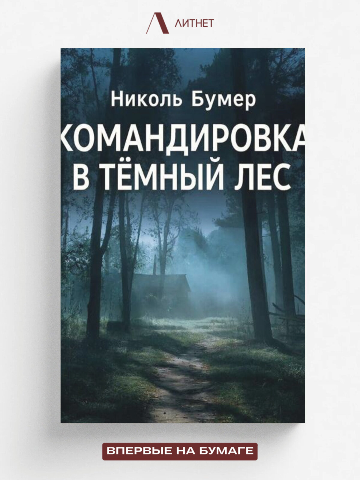 Командировка в темный лес