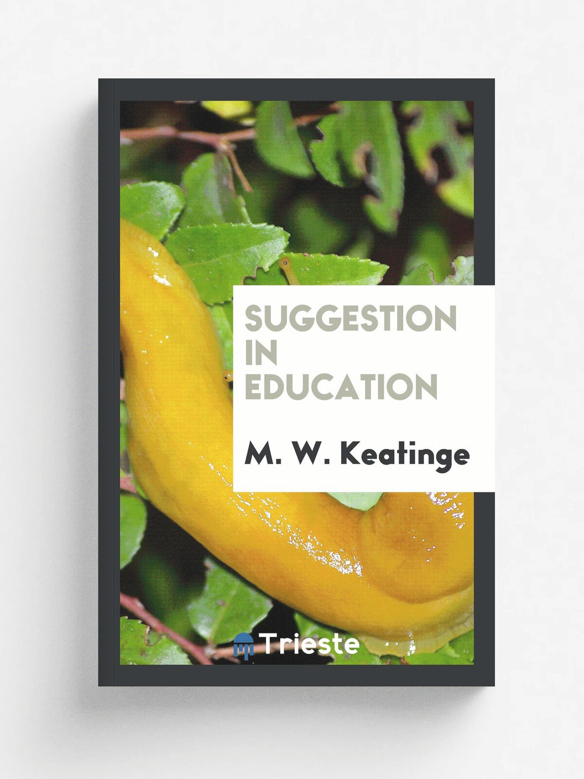 Suggestion in education