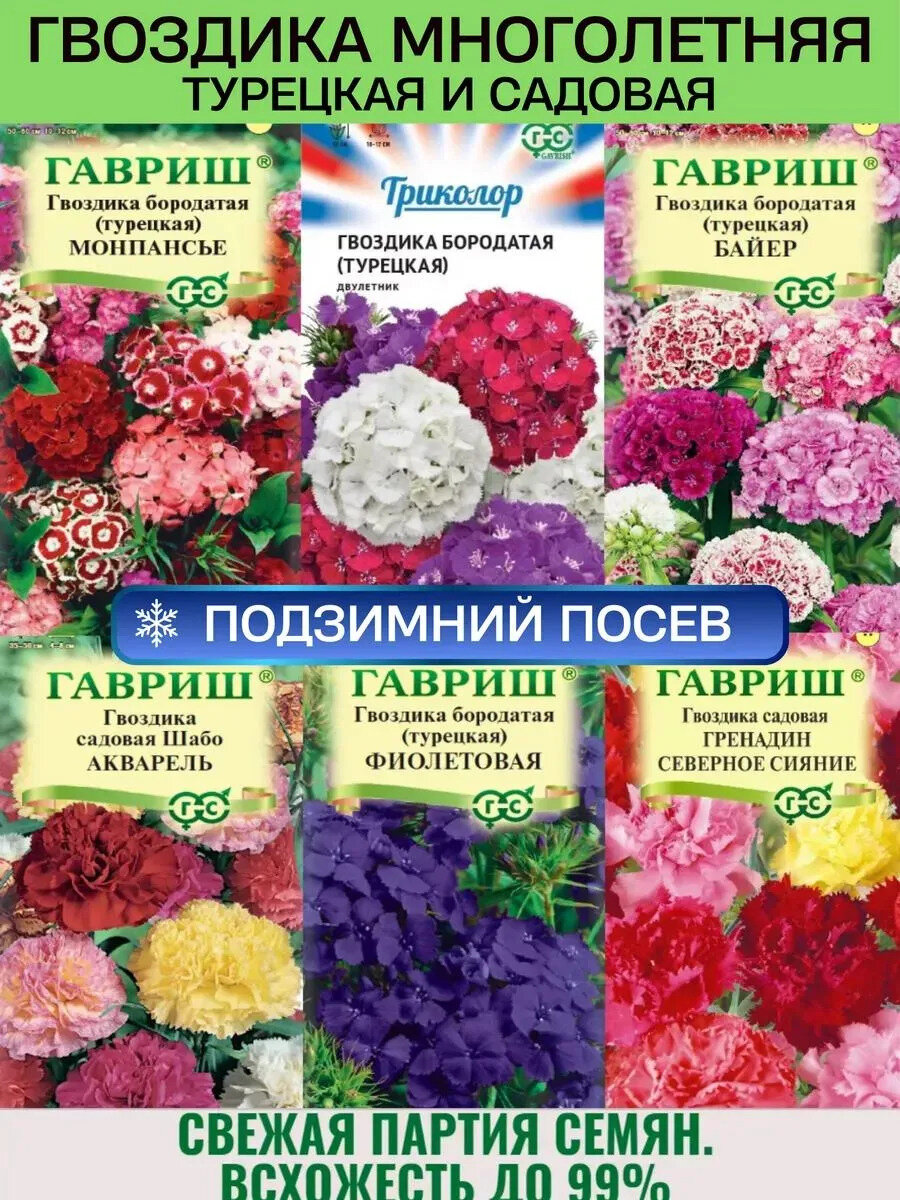 Семена гвоздики турецкой и садовой для посадки набор 6 пакетов