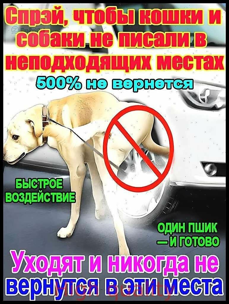 Самый популярный в 2026 годуСпрей-отпугиватель для кошек и собак "Антигадин" защита мебели и ковров от меток и царапания. Натуральный состав, мгновенное действие.