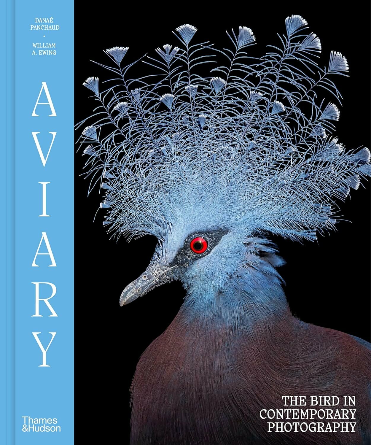 Aviary: The Bird in Contemporary Photography