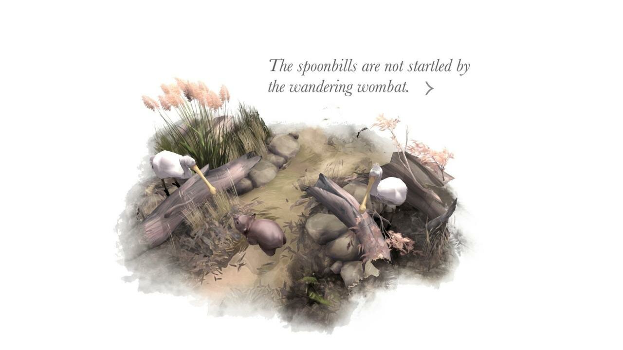 Paperbark Steam Ключ • Активация Steam • регион Весь мир • цифровой ключ