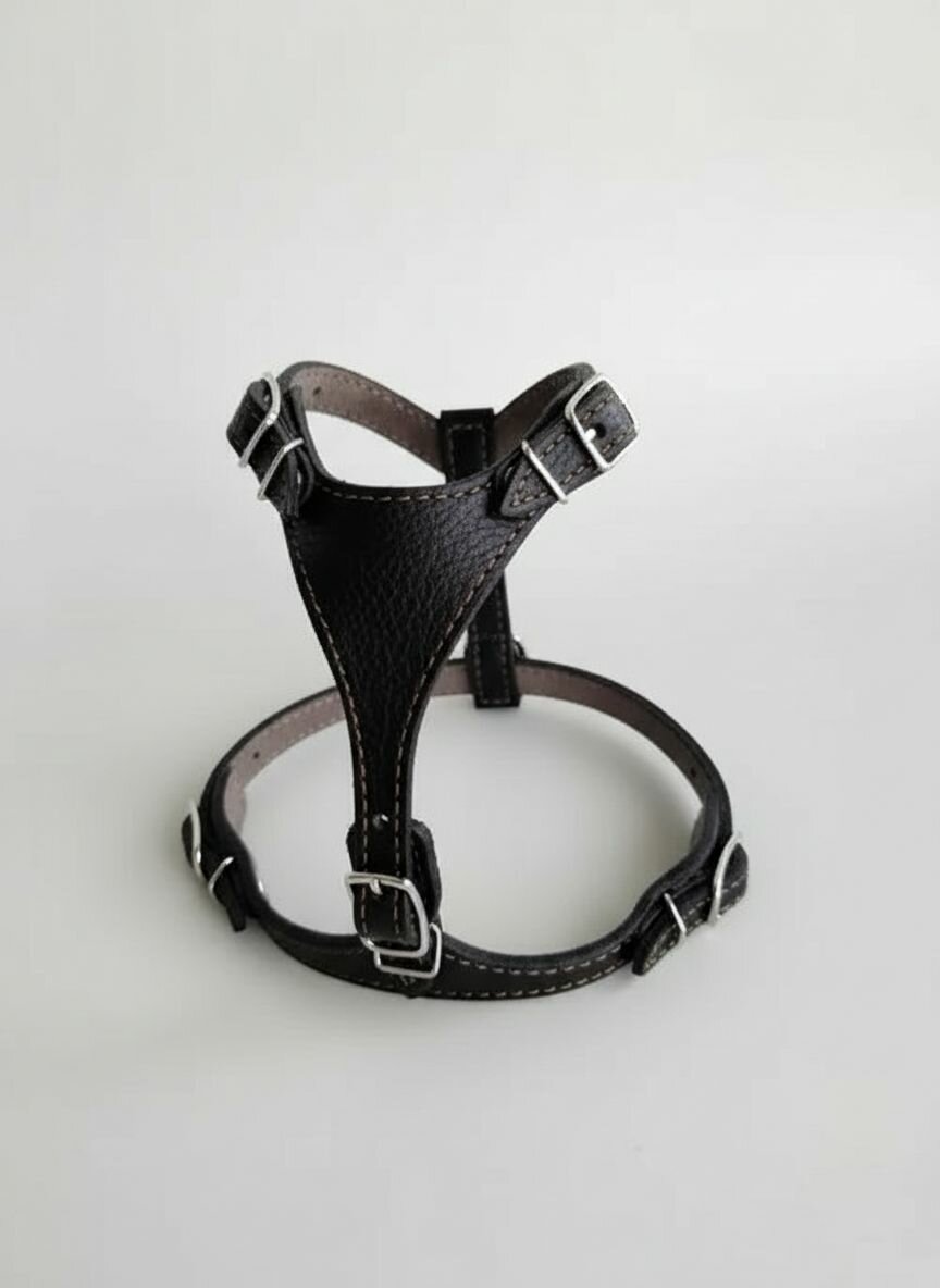 Шлейка для собак до 3 кг 5 кг мелких маленьких пород кожаная dog collar