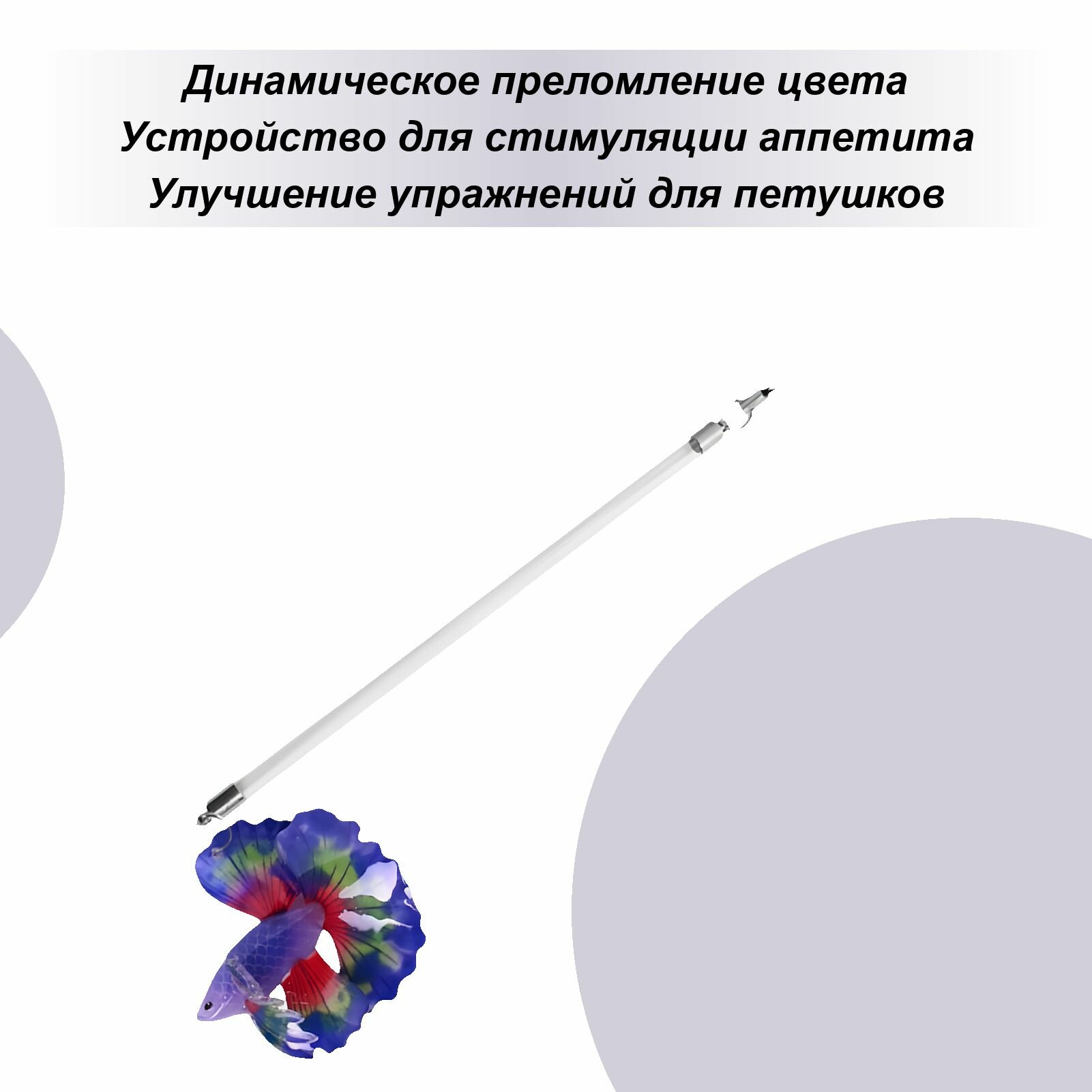 Интерактивное обогащение