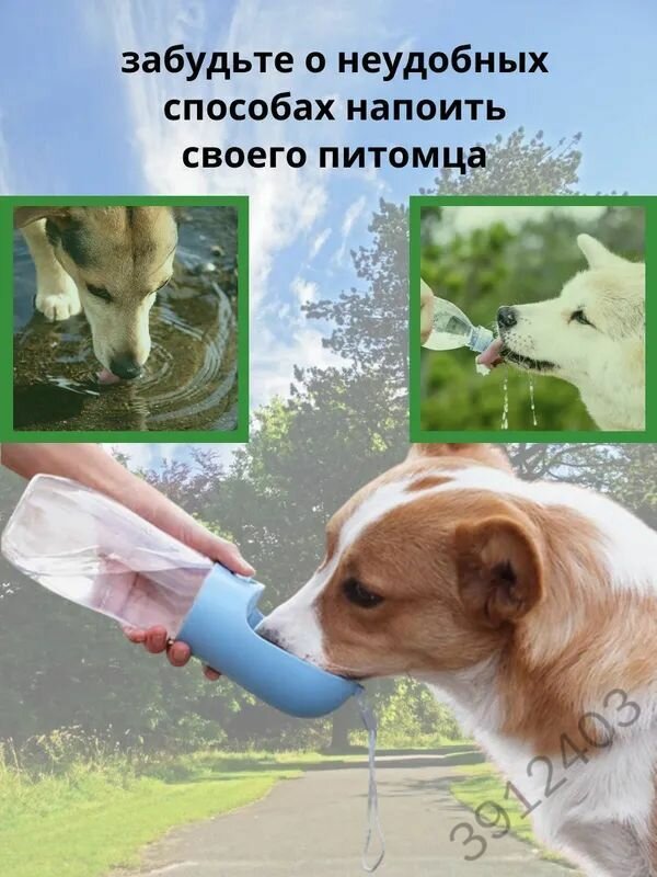 Поилка для животных