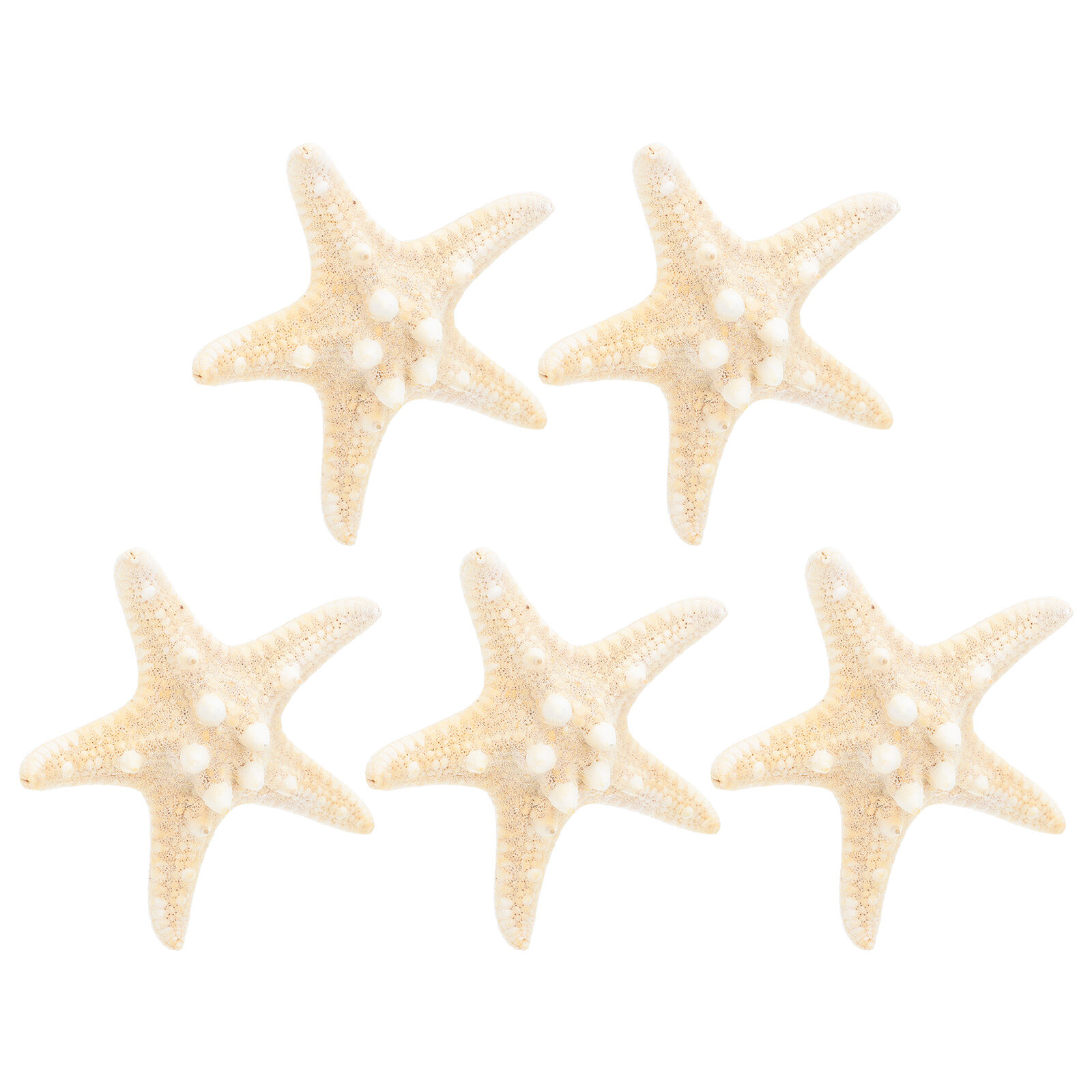 Белые морские звезды, натуральные украшения для оформления вечеринок и интерьера, 5 штук