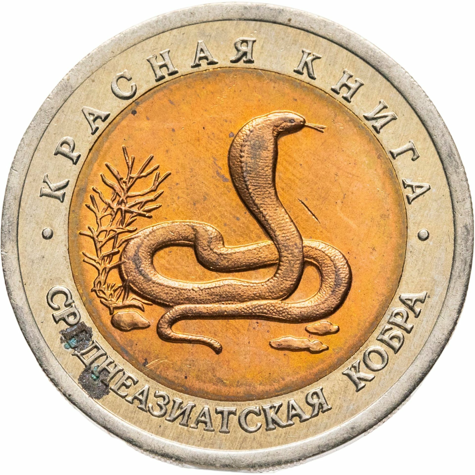 10 рублей 1992 ЛМД среднеазиатская кобра, Биметалл, в сохранности AU