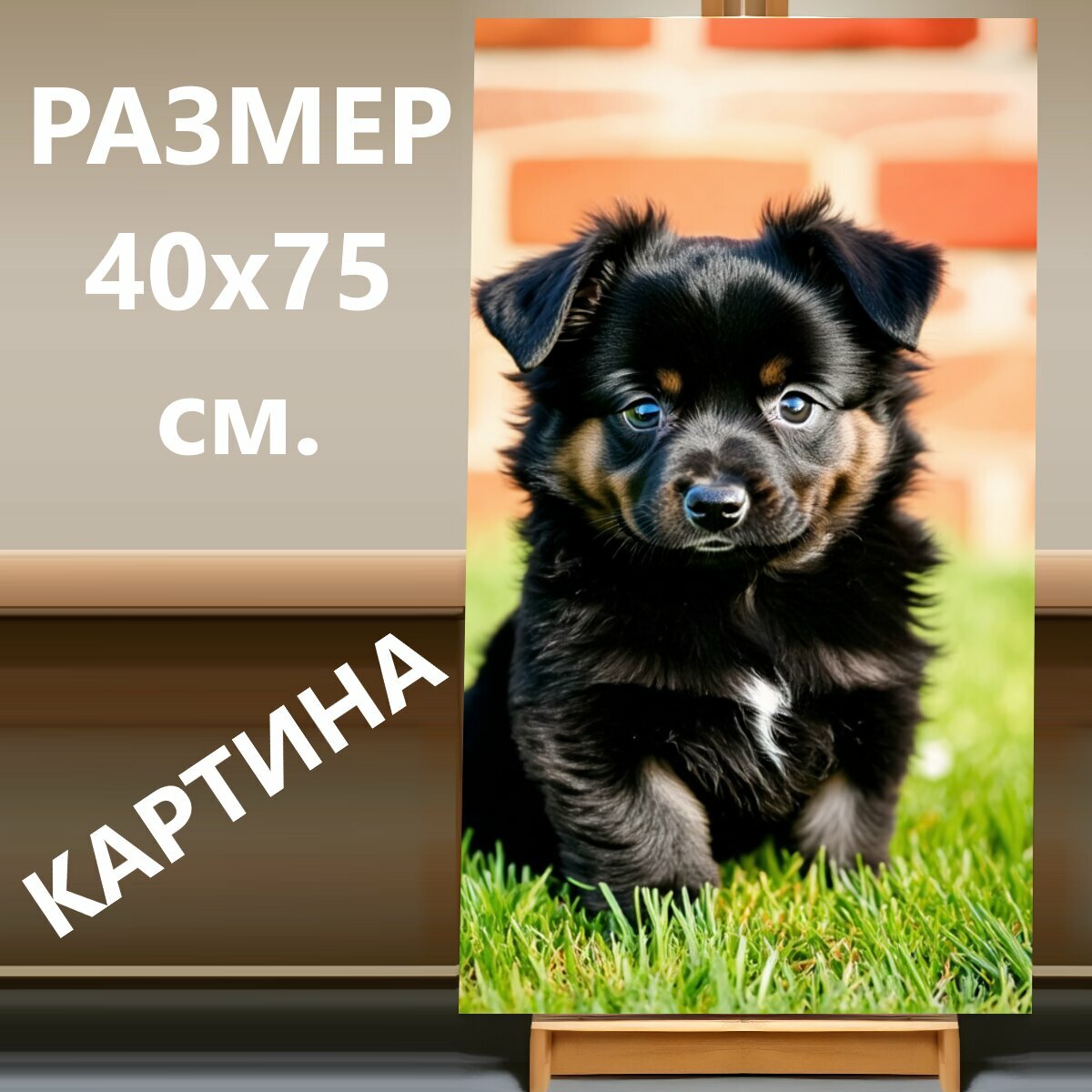 Картина на холсте "Черный шпиц puppy, маленький, пушистый, с большими глазами, уши стоят, на зеленой траве, размытый фон, кирпичная стена, солнечный свет" на подрамнике 75х40 см. для интерьера