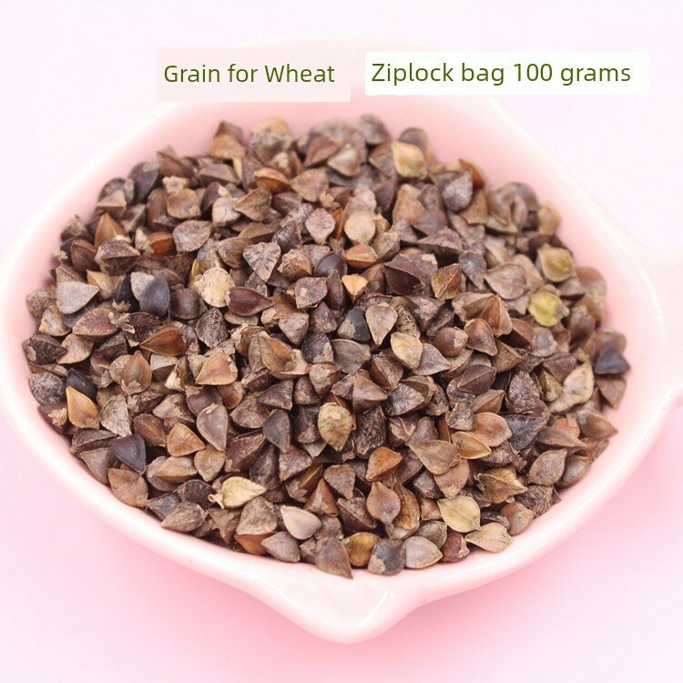 Корм для хомяков с гречкой, натуральный зерновой микс 100г, упаковка в самозапечатывающийся пакет