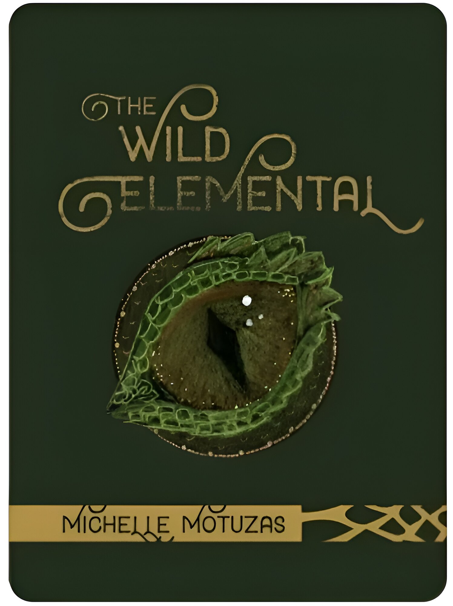 Карты таро "The Wild Elemental Oracle" RED Feather / Оракул Дикой Стихии