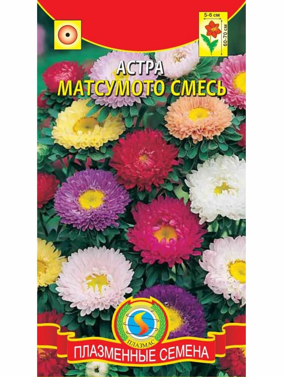 Астра Матсумото смесь 0,2 г, Плазменные семена