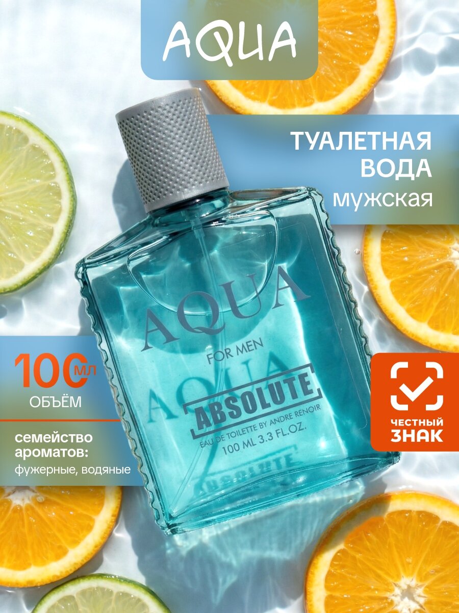 Туалетная вода мужская фужерная Today Parfum Absolute Aqua 100мл