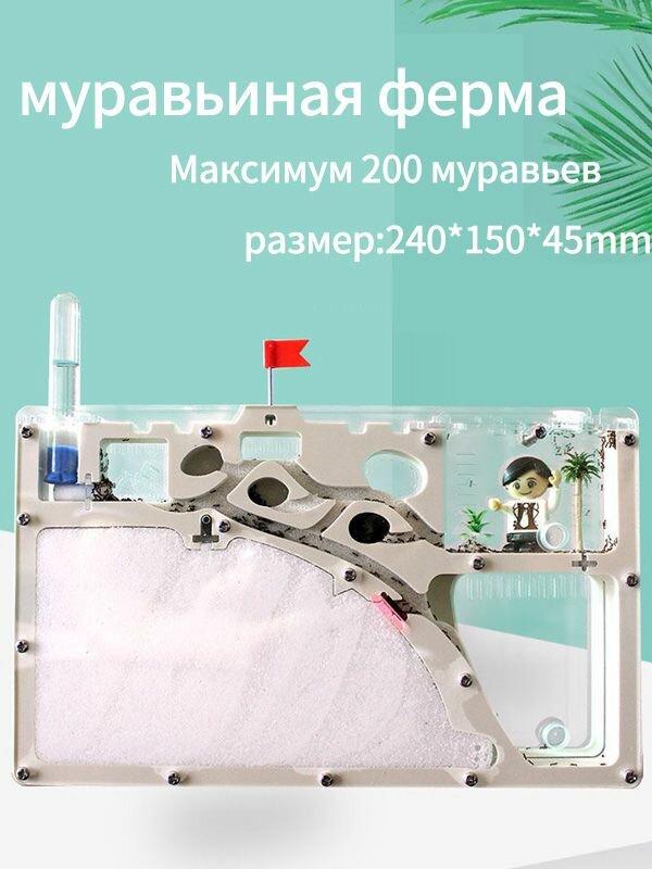 Муравьиная ферма "Замок", формикарий вертикальный, прозрачный, полный комплект без муравьев