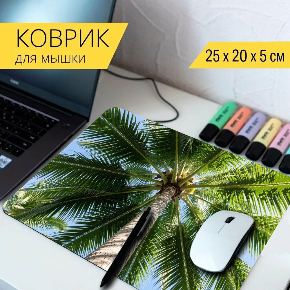 Коврик для мыши с принтом "Тропическая пальма снизу вверх. Экзотическое кокосовое дерево с раскидистыми зелеными листьями на фоне ясного голубого неба. Солнечный летний." 25x20см.