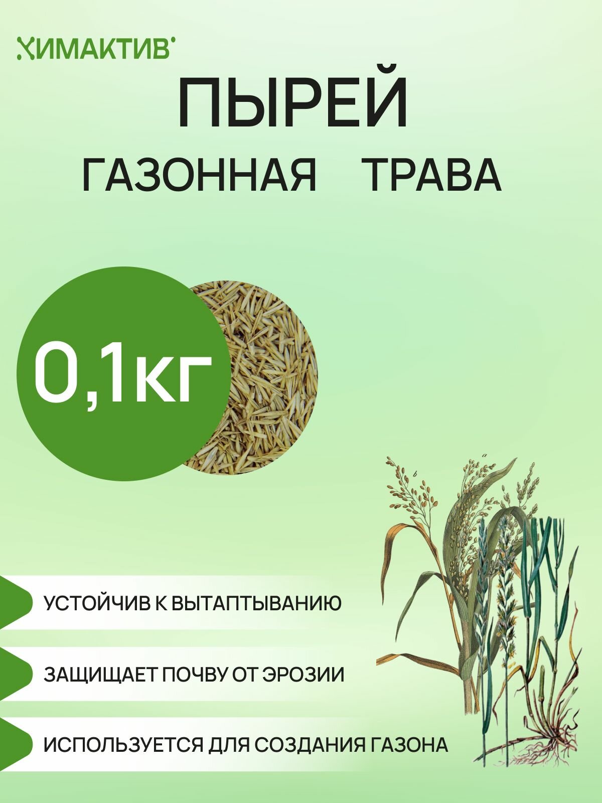 Пырей семена 100 грамм/ газонная трава