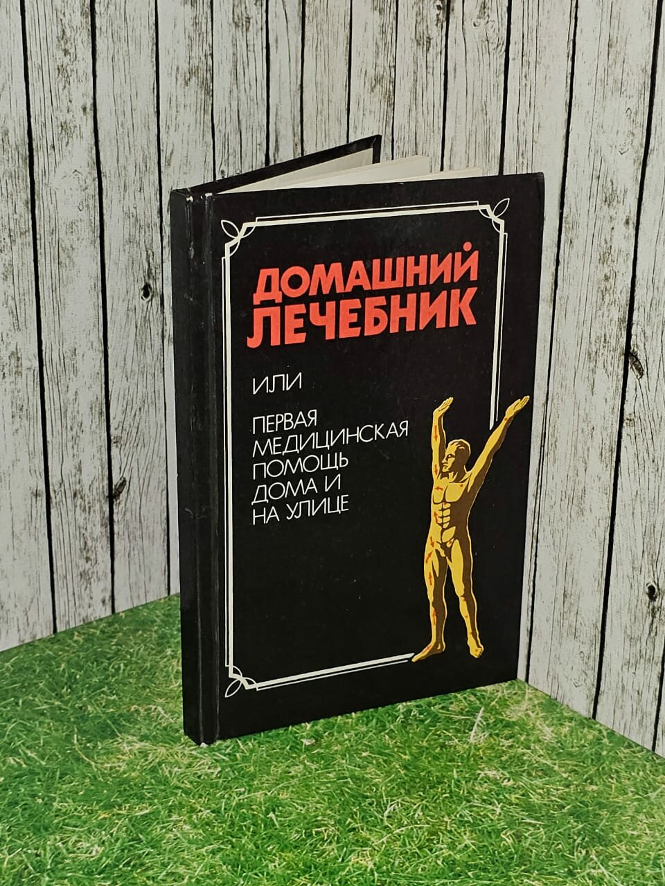 Домашний лечебник, или Первая медицинская помощь дома и на улице