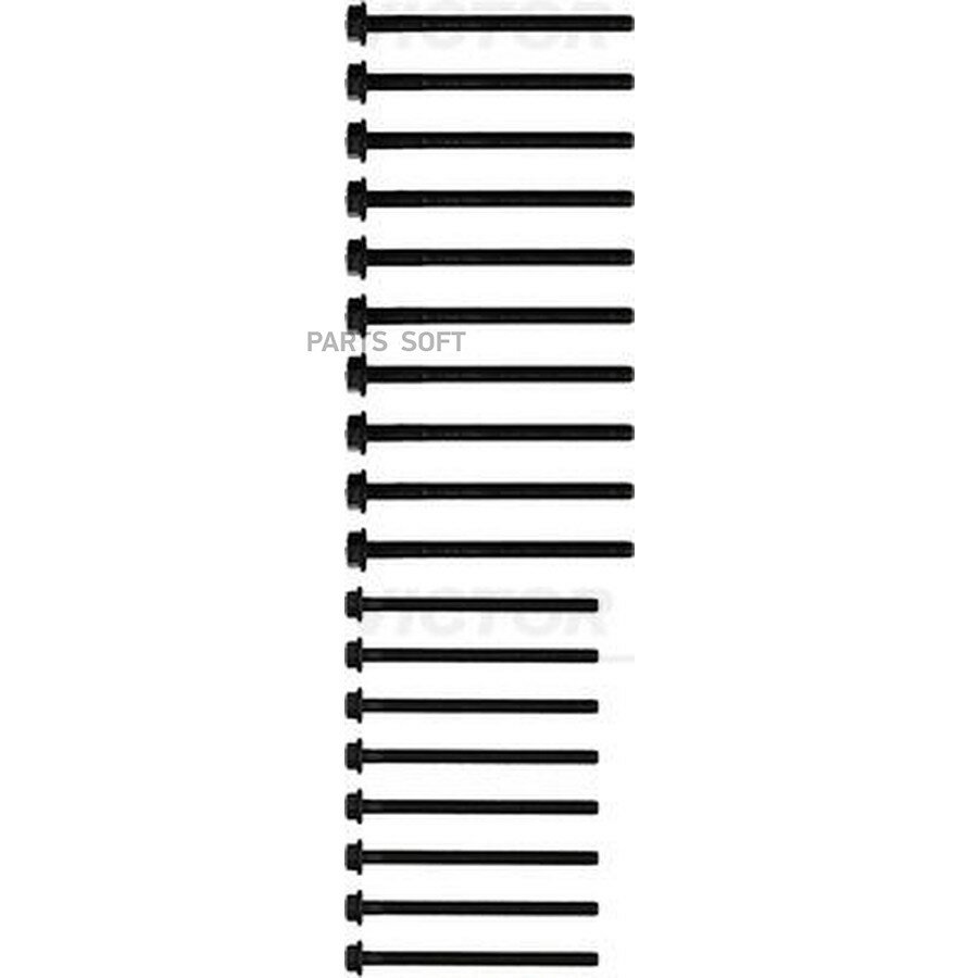 Комплект болтов ГБЦ (M10x140) VICTOR REINZ 143234101