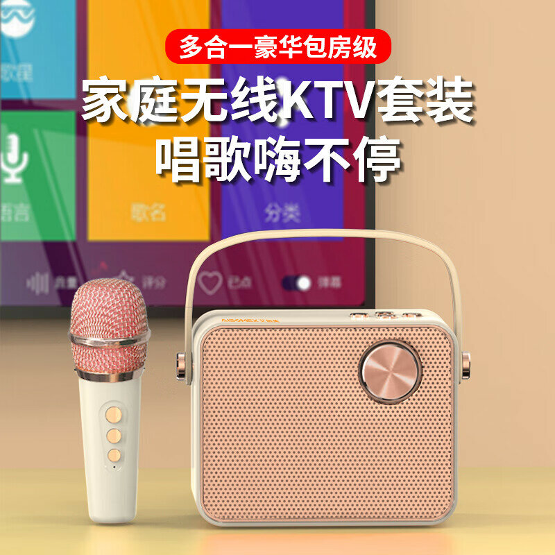 Aishuomei B153 Bluetooth-колонка с двойным микрофоном и звуковым процессором для домашнего карате Цвет：Версия с двойным