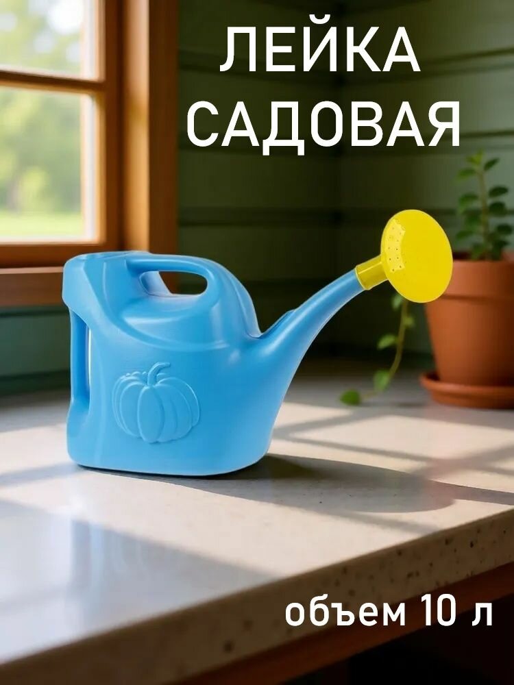 Лейка 10 литров с рассеивателем